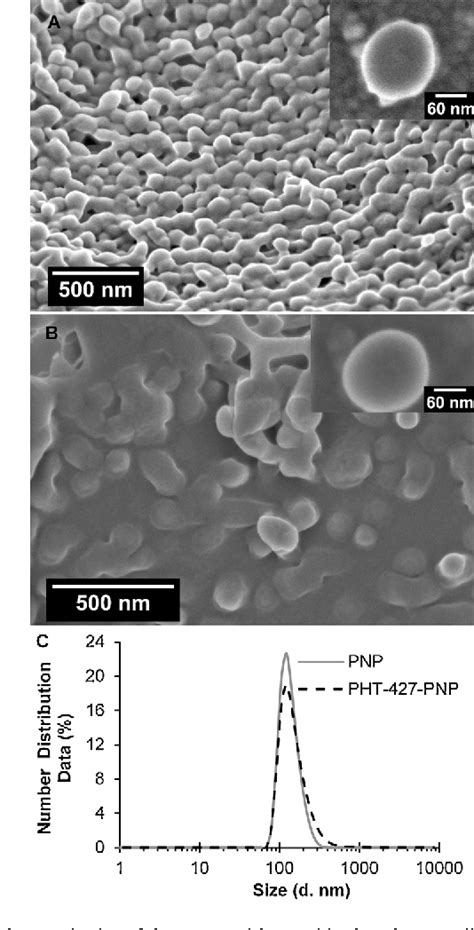 Figure 2 From Nanoparticle Encapsulation And Controlled Release Of A Hydrophobic Kinase