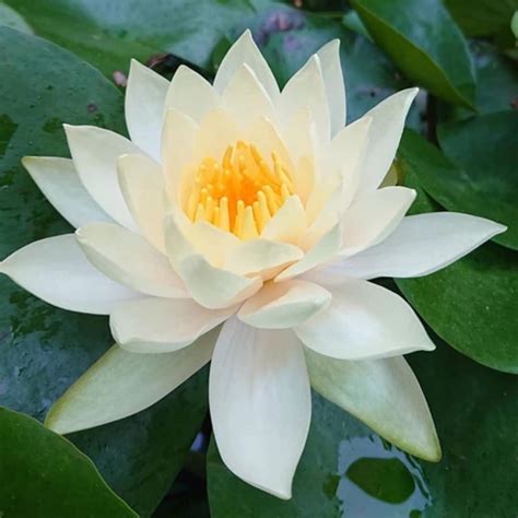 นวดนอกสถานที่สกลนคร