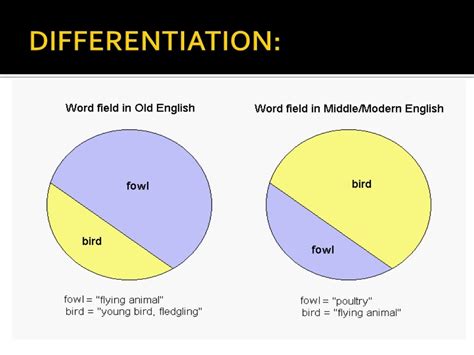 Formal Semantics