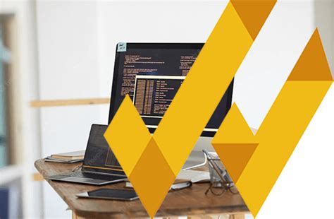 Web Applications Ecommerce Developers Wise Soft Lab