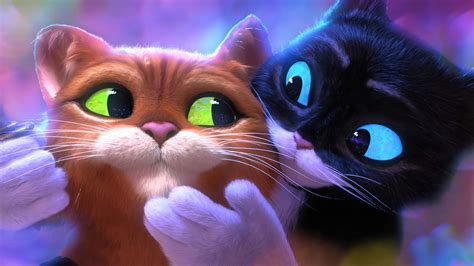 Puss And Kitty Softpaws Puss In 4k 3680i Wallpaper 4k Pc