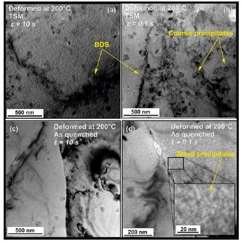 Tem Micrographs Of Deformed Condition Download Scientific Diagram