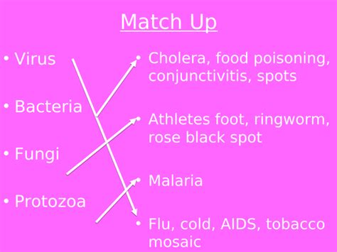 Non Specific Defence System Whole Lesson With Resources And Answers Module B3 Aqa Gcse New 2016