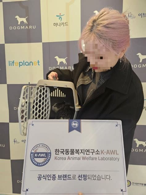 코리안숏헤어 샤넬 사모예드책임분양 스피츠책임분양 시바견책임분양 시베리안허스키책임분양 시츄책임분양 요크셔테리어책임분양 웰시코기책임분양 이탈리아그레이하운드책임분양 치와와책임분양