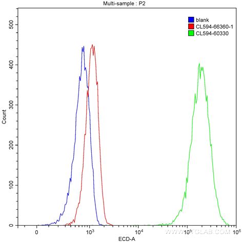 Mouse Igg1 Isotype Control Antibody Cl594 66360 Proteintech 武汉三鹰