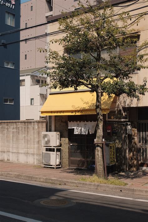 낮에는 파란색과 흰색 콘크리트 건물 옆에 있는 녹색 나무 사진 Unsplash의 무료 마쓰야마 이미지