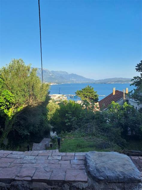 Anja Bijela Precios Actualizados 2025