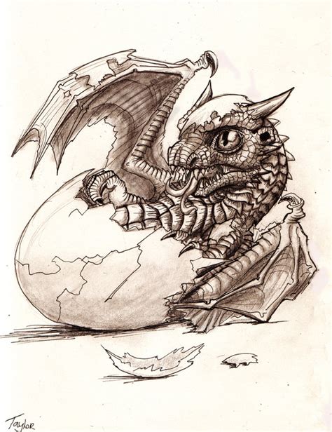 Hatchling By Archir On Newgrounds