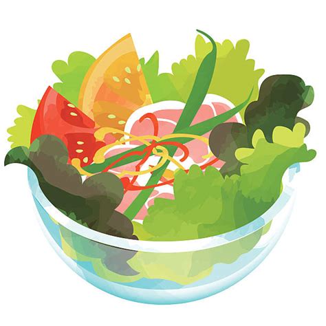 400개 이상의 잎 상추 일러스트 스톡 사진 그림 및 Royalty Free 이미지 Istock