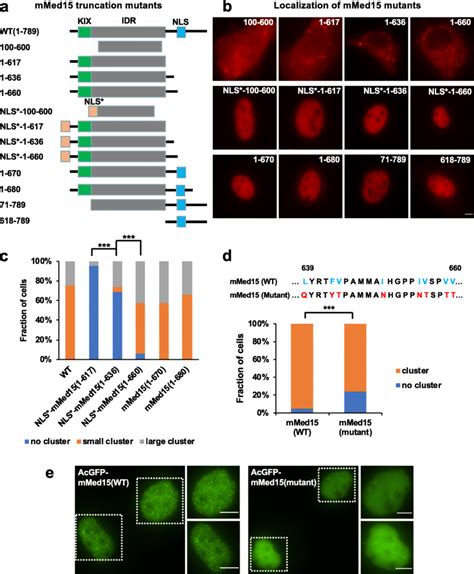 Formation Of Med15 Nuclear Foci Is Mediated By Its Idr And A