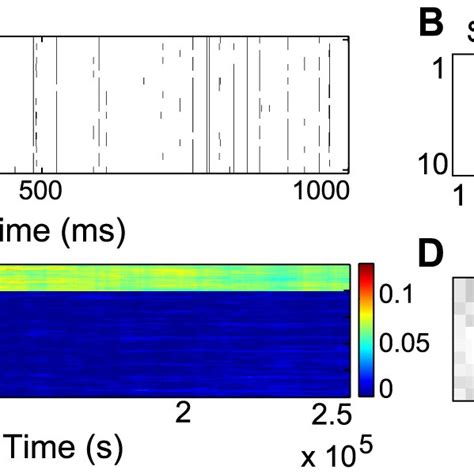 Bars In A Correlation Based Encoding A Example Of 20 Spike Trains