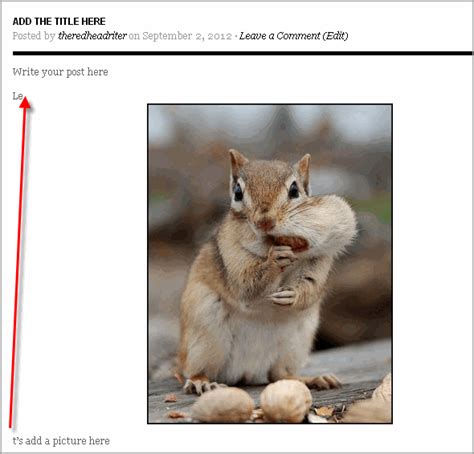 How To Create A Post In Wordpress Plus Thesis