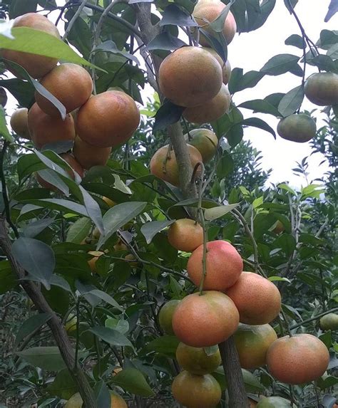 15 Ngõ Huyện Hàng Trống Hoàn Kiếm Hà Nội Hanoi