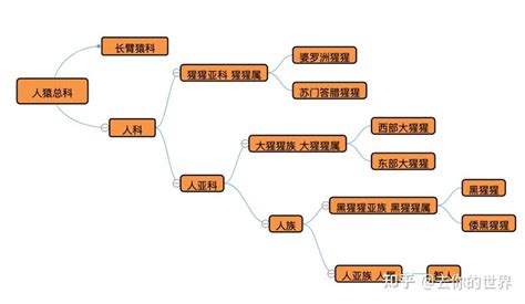 为什么人类和黑猩猩差别那么大？ 知乎