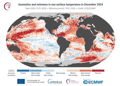 El Calentamiento De La Superficie De Los Océanos Se Ha Cuadruplicado