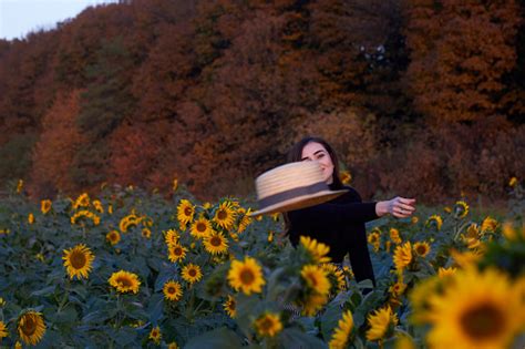 아름다운 귀여운 소녀는 해바라기의 분야에서 공기에 모자를 던져 자연을 즐기는 가을 시간입니다 가을에 대한 스톡 사진 및 기타