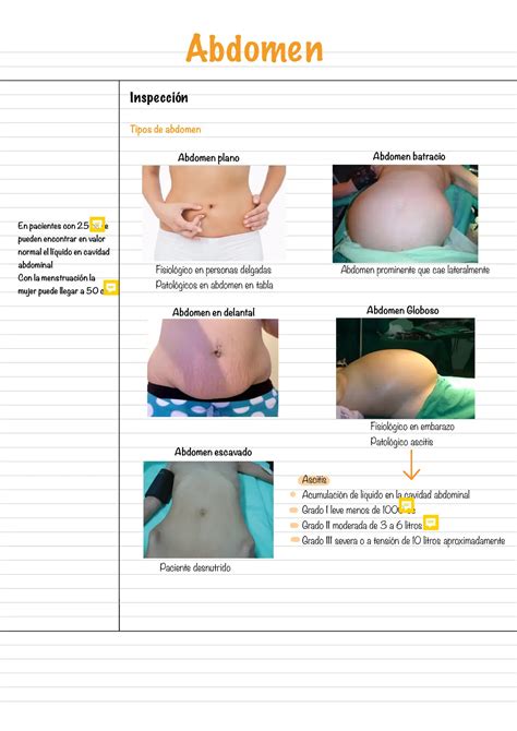 Abdomen En Batracio Un Signo De Ascitis Crónica Doctor Online
