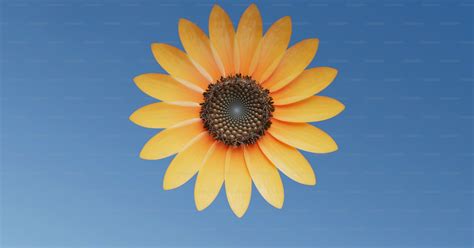 푸른 하늘을 배경으로 한 노란 꽃 사진 Unsplash의 벽지 이미지