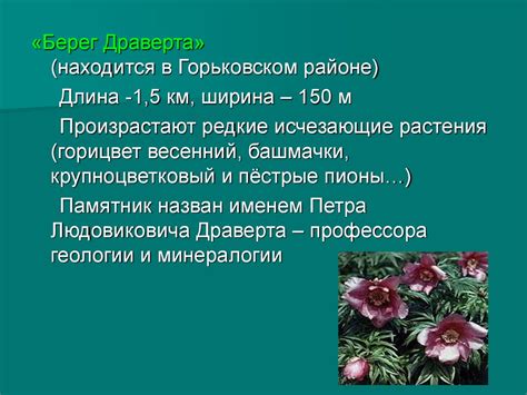 Памятники природы Омской области - презентация онлайн