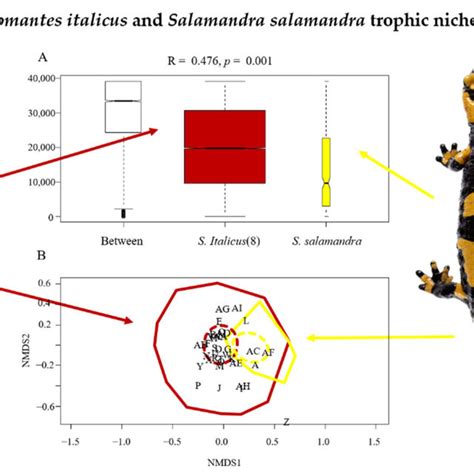 A Box Whisker Plot Of Anosim Analysis Comparing The Diets Of Download Scientific Diagram
