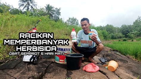 Racun Rumput Paling Ampuh Hari Mati Cara Memperbanyak Herbisida