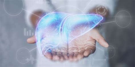 The Facts About Liver Transplant Survival Rates Statistics And More Medinirvana