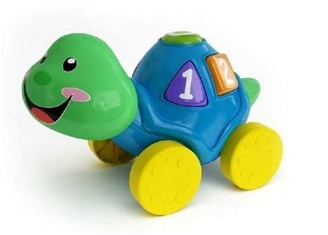 Crawling Turtle 3d Model Cgtrader