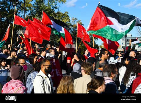 Waffenstillstand Im Gazastreifen Fotos Und Bildmaterial In Hoher