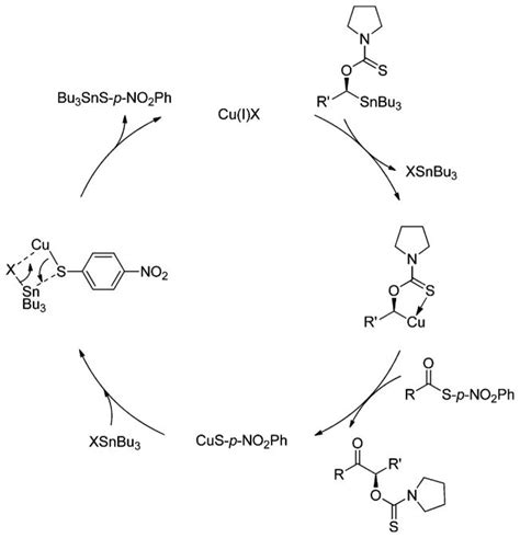 Stereocontrolled synthesis of α amino α alkoxy ketones by a copper catalyzed cross coupling of