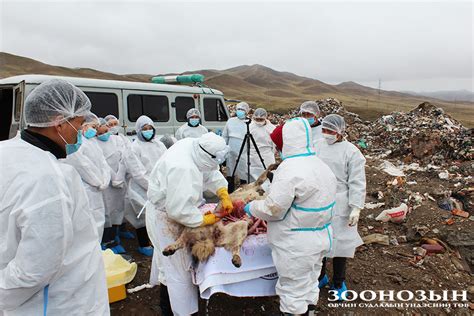 “Монгол улсад бэтэг өвчний тандалтын тогтолцоо байгуулах лабораторийн