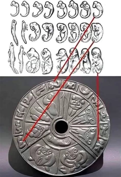 Giorgi 🌀 გენეტიკური დისკი სამხრეთ ამერიკის უჩვეულო არტეფაქტი 🔍 სამხრეთ ამერიკაში აღმოჩენილი