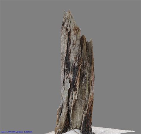 Root Free 3d Models Download Free3d