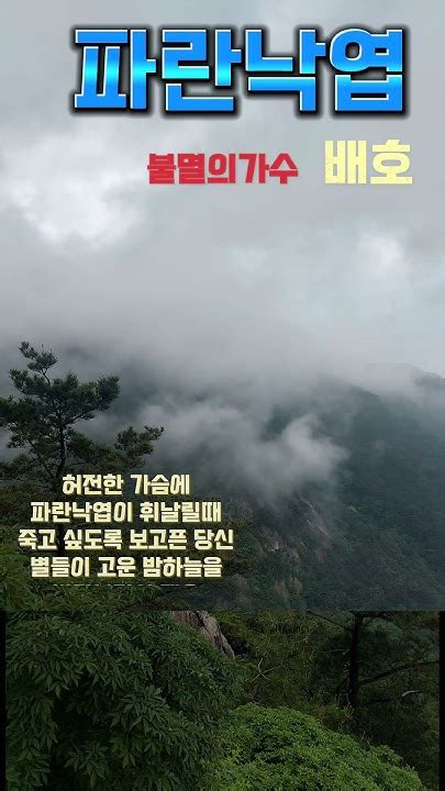 파란낙엽 불멸의가수 배호 Youtube