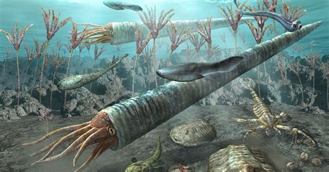 Marchan Blog Ordovician Period