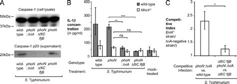 Effect Of Tvia On Inflammasome Activation S Typhimurium Strains Were