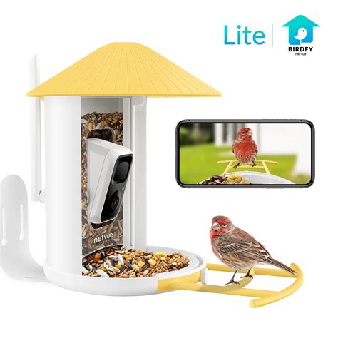Bird Feeders With Camera Netvue Birdfy Smart Bird Feeder For Bird