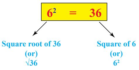 Sqaure Root Of 36 ROOTSB