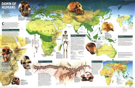 Haplogroup H B Origins History And Famous People Belonging To This MtDNA Haplogroup Human