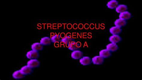 Streptococcus Pyogenes ResÚmenes MÉdicos Udocz