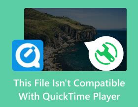 This File Isn T Compatible With Quicktime Player Solved