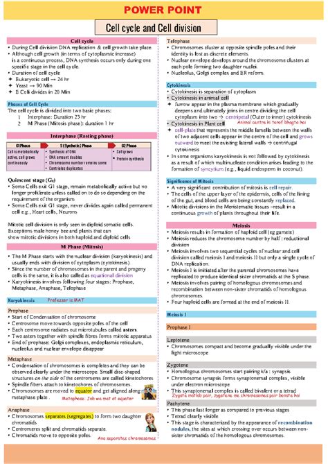 Cell Cycle And Cell Division Cell Cycle During Cell Division Dna