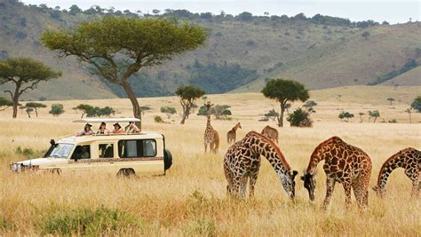 How To Plan An African Safari In The Time Of Covid