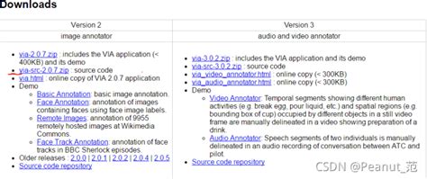标注工具——vgg image annotator via csdn博客