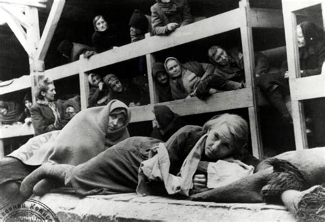 The Liberation Of Auschwitz The Nazis Deadliest Concentration Camp