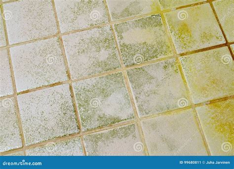 Mold On Tile Floor Flooring Tips