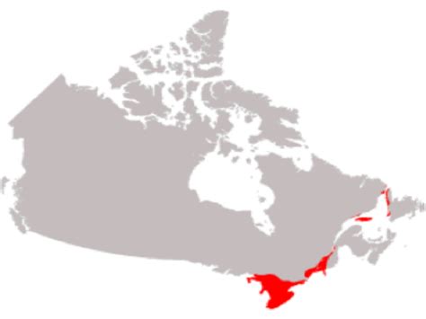 St Lawrence Lowlands Canadas Landforms And Economic Regions Assignment By Lance Rogan