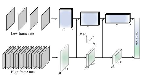 Slowfast Network Architecture