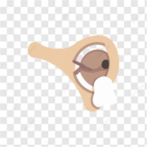 Illustration Of Glenoid Cavity Anatomy Vector Anatomy Icon Medical