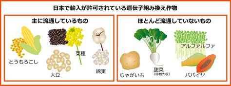 遺伝子組み換えの基礎知識 サルでもわかる遺伝子組み換え