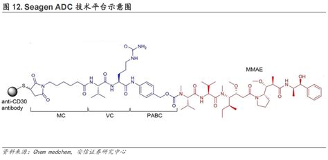 【行业深度】创新药研究框架之adc：国内adc技术梳理，青出于蓝而胜于蓝【安信医药马帅团队】马帅新浪财经新浪网